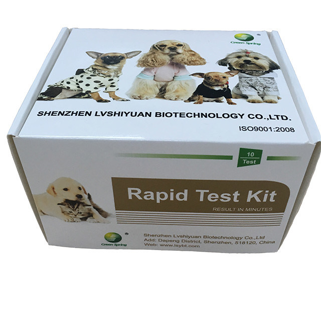 Canine Coronavirus (CCV) antigen rapid test card pet disease lateral ...